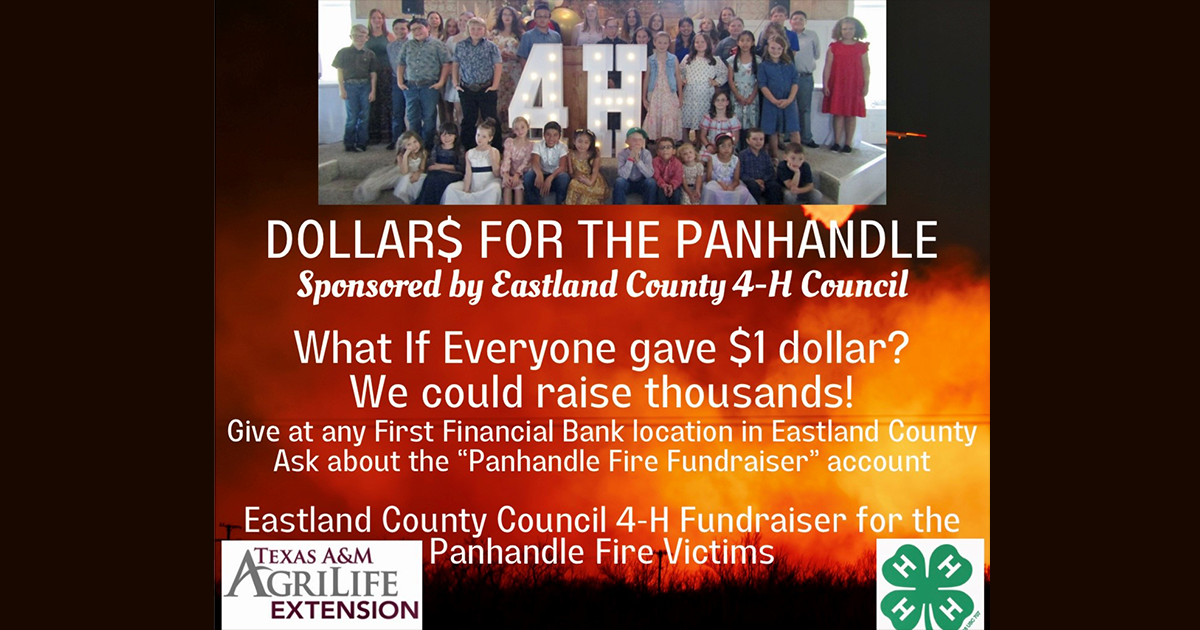Dollars for the Panhandle - Microplex News